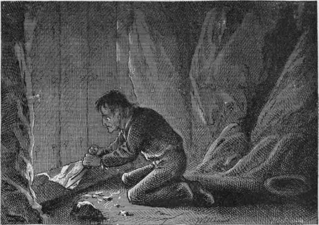 THE ADVENTURES OF TOM SAWYER - online book